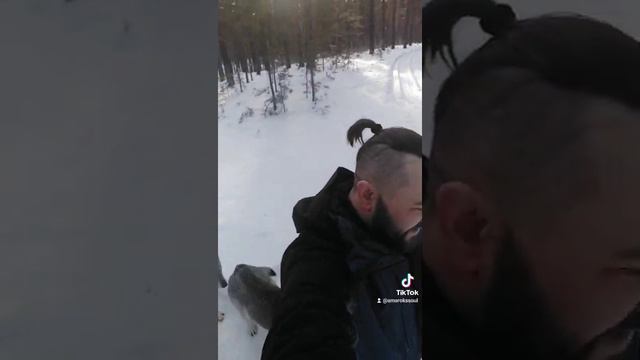 По зимнему лесу #shorts