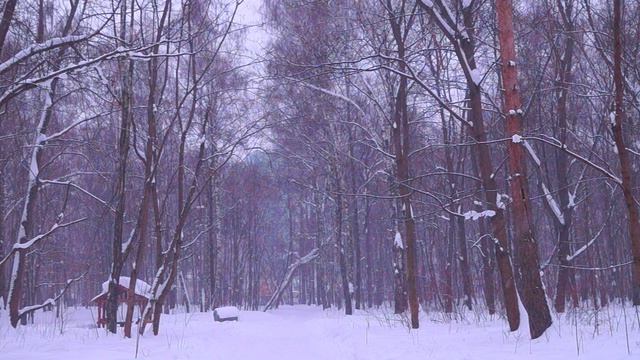 Медитация 176