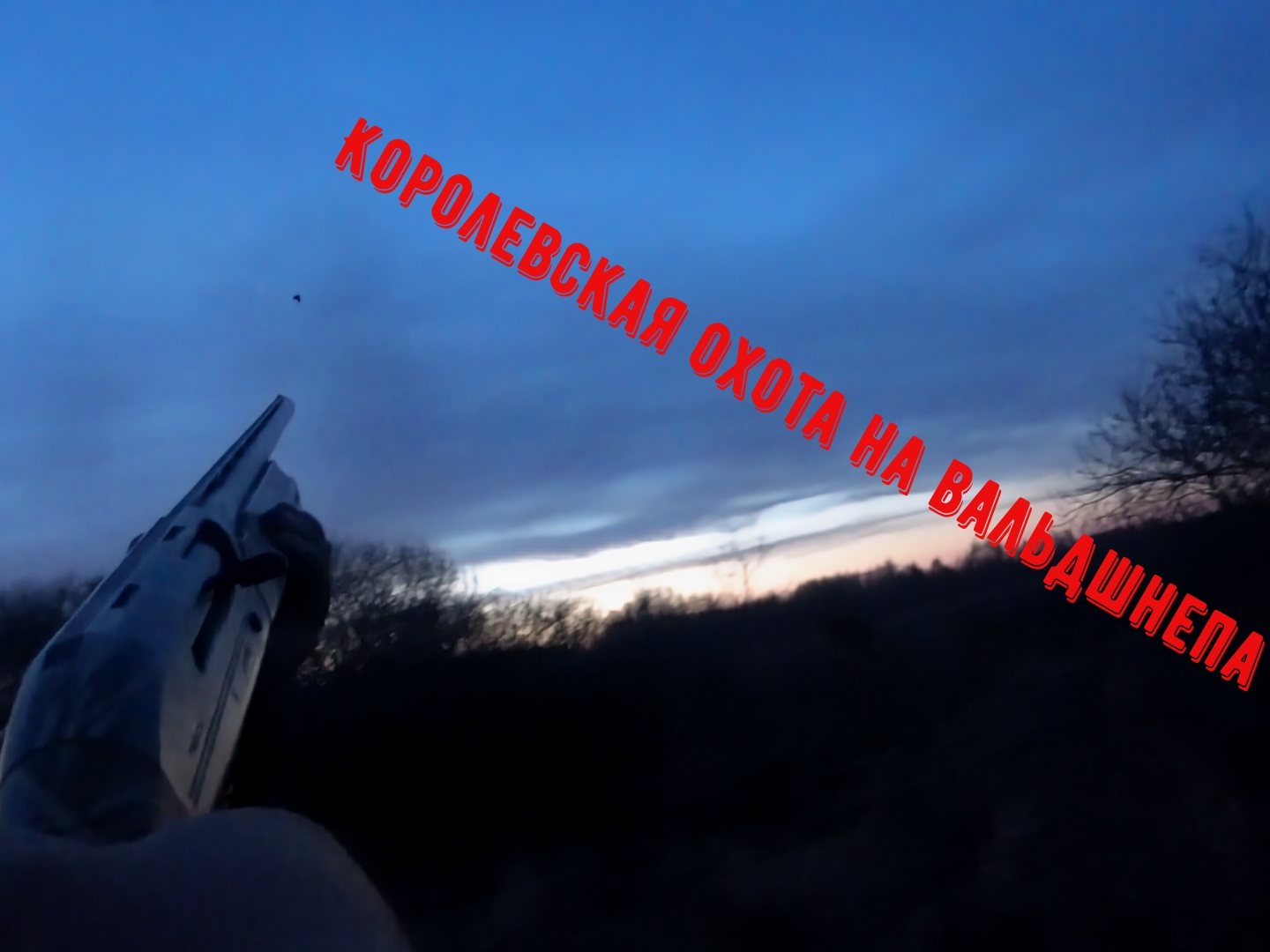 Королевская охота на вальдшнепа. Royal Woodcock Hunt. Lots of shots and good trophies.