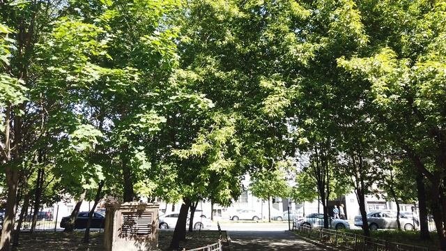 Проходные дворы Петербурга №4