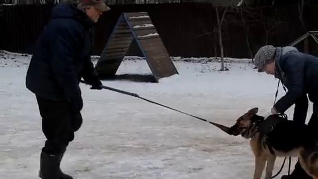 Ul'tra s Putilovoj Gory.mp4