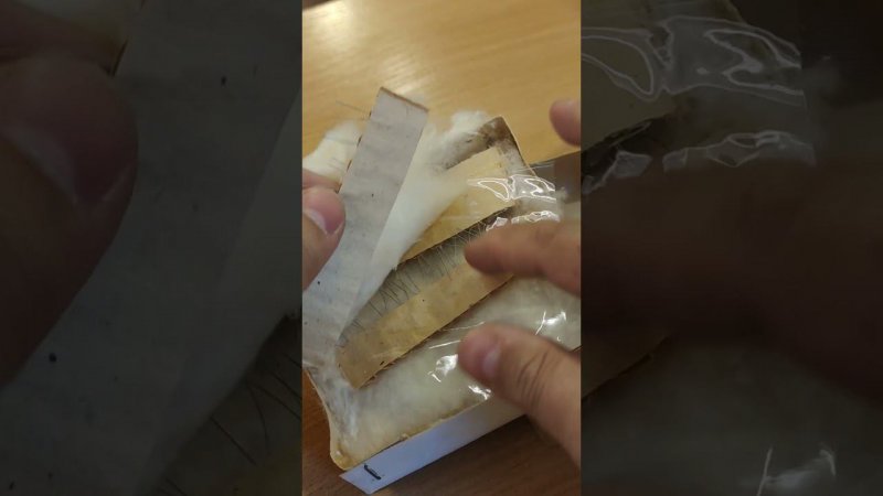 Артефакты ушедших дней. осколки древних цивилизаций. Миниатюрные лампочки.