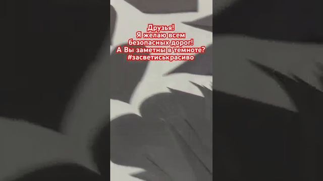 #засветиськрасиво #краснокамскиесветятся #2023 #Queencard #засветись #police #children #фликер #свэ