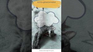 Кошечки и Шуточки! (16)