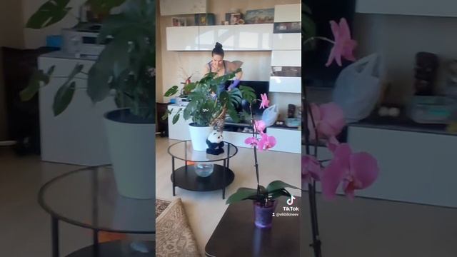 Карточка видео