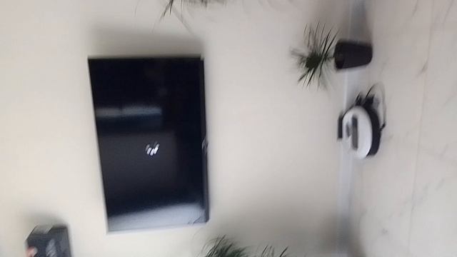 VID_20240808_134535.mp4