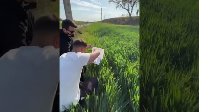 как сделать шикарные фото