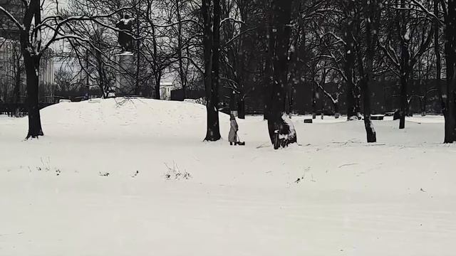 Видеозарисовка ＂Зимние мотивы＂