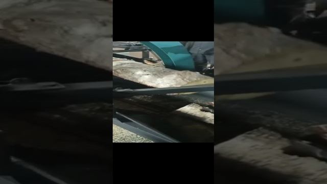 дровокольная линия