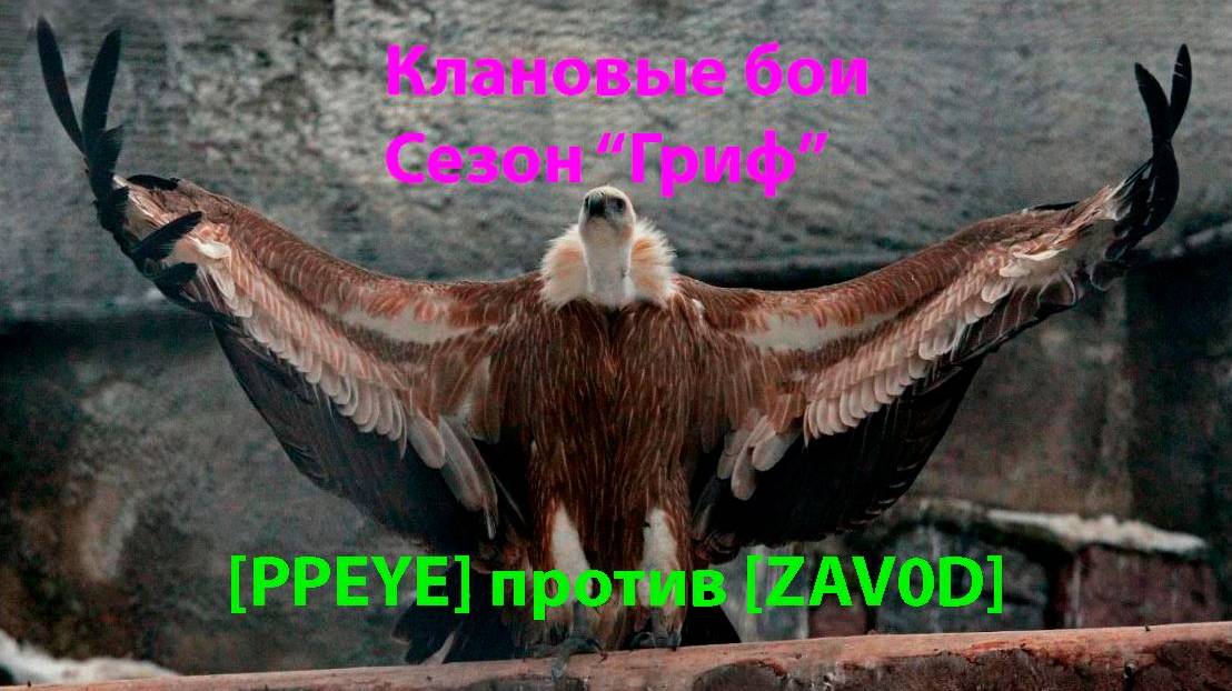 Клановые бои Сезон Гриф PPEYE против ZAV0D Мир кораблей World of Warships