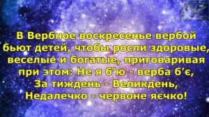 Баба Нина слепая