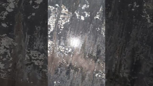 VID_20240910_124901_183.mp4