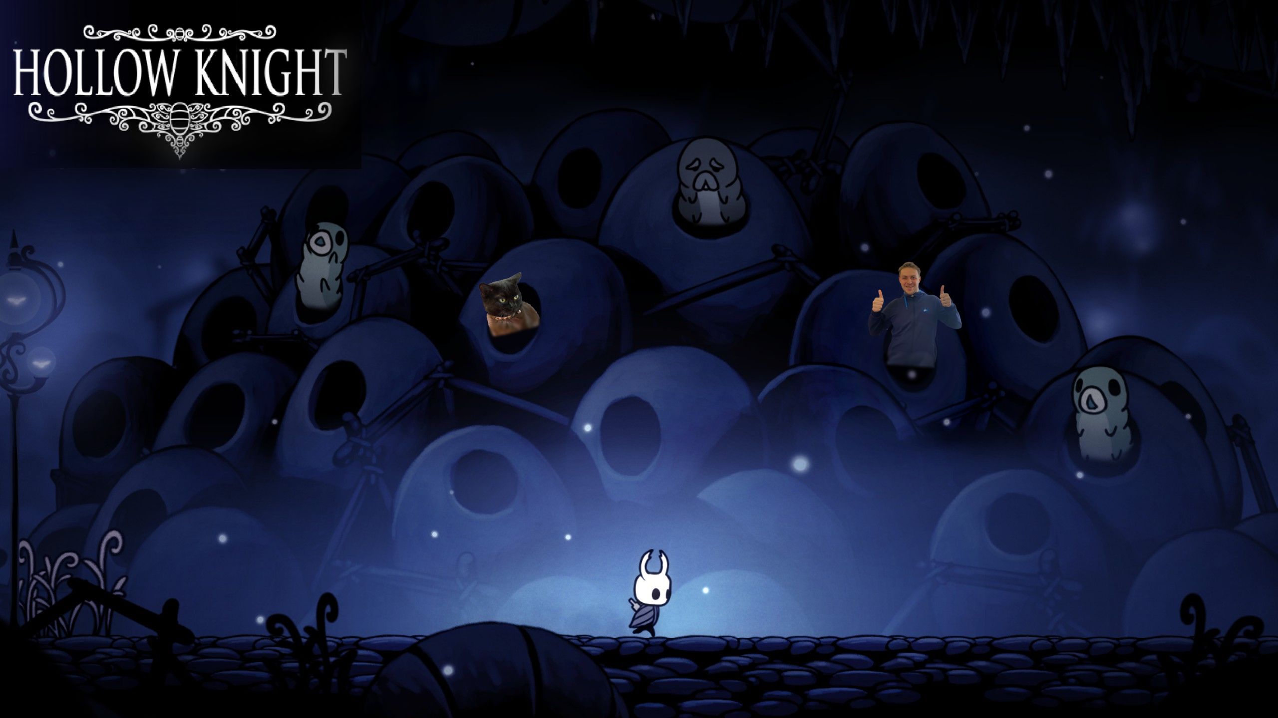 Погуляли по округе Hollow knight #3 NPC_PLAY