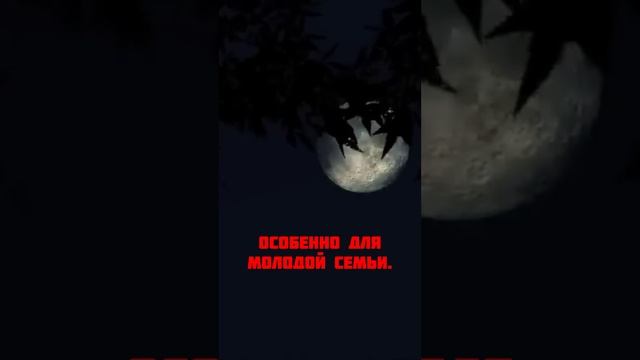 Страшные истории-СТАРУХА ПО СОСЕДСТВУ... SHORTS