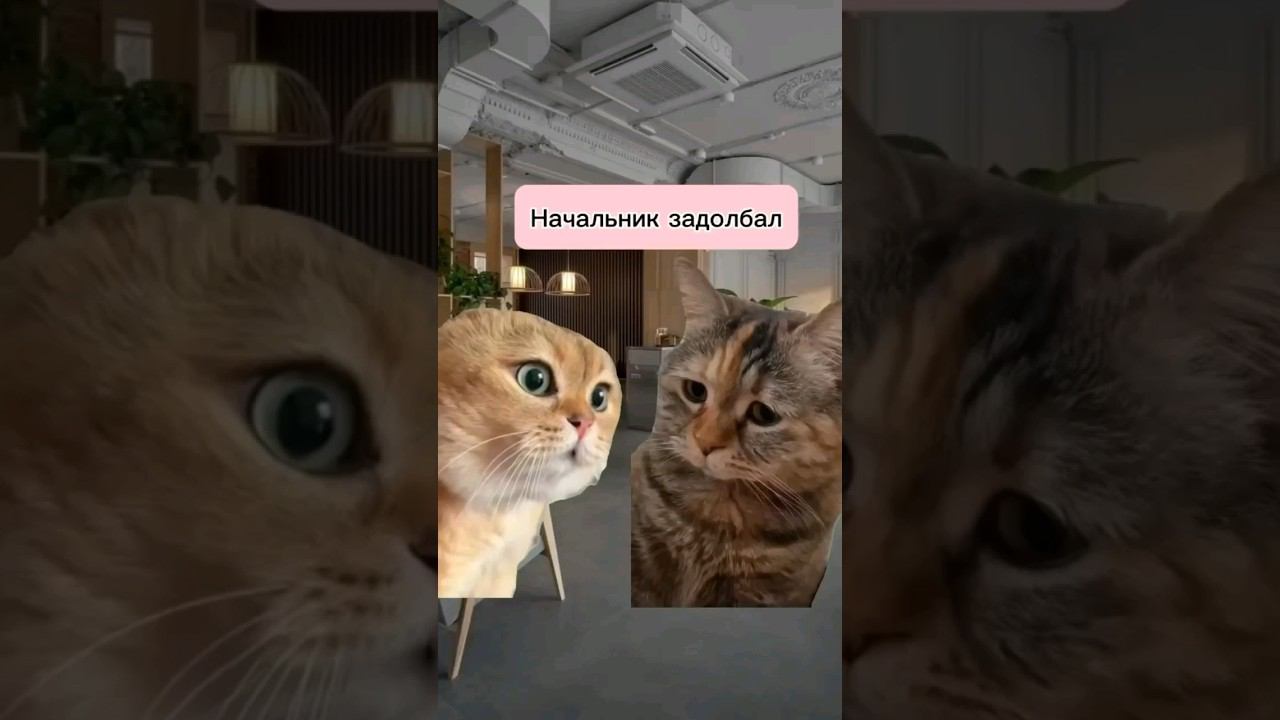 Я  не представляю бизнес в интернете, если он не работает на автомате.#shortvideo #shortsvideo