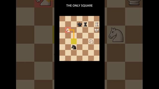 2 Knights Checkmate Trick