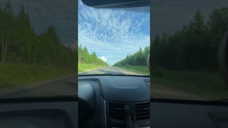 15 июня 2024 г.
