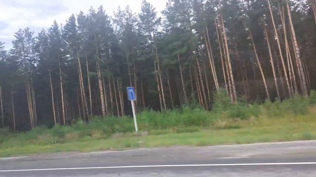 Vlog мега интересный