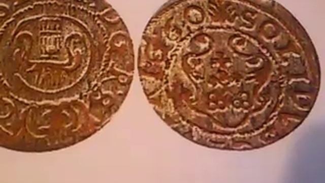 видео о боратинках.mp4