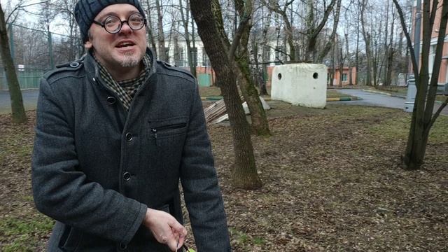 Стихи на 8 марта