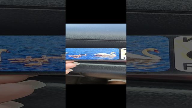 1000560545.mp4