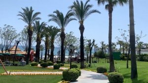 Alva Donna Beach Resort Comfort! Room tour! Плюсы /минусы!