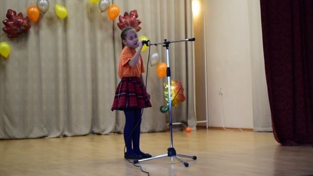 Концерт в доме ветеранов 26.10.2017 DSC_0032