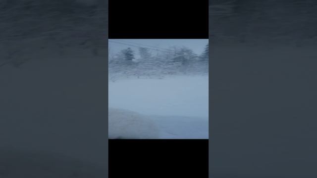 1000011284.mp4