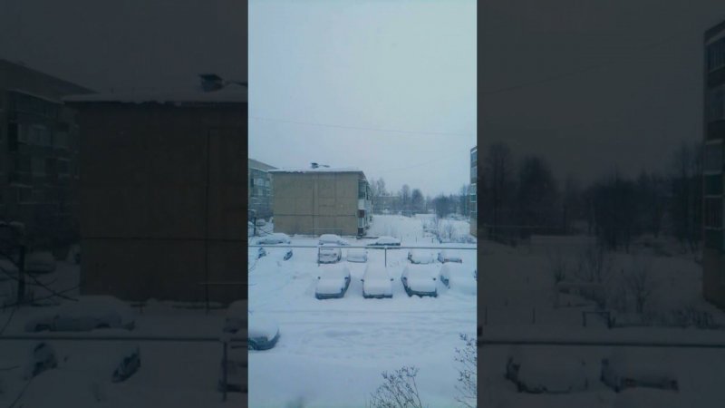 Подснежники #зима #снегопад