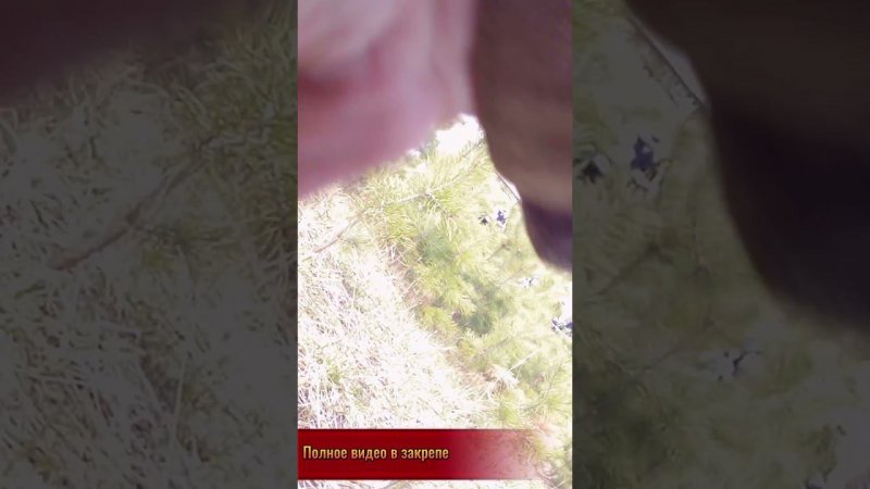 Закрыл грудью амбразуру ДОТа