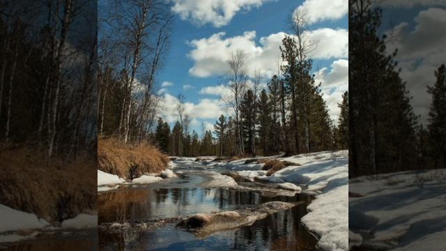 Весенняя акварель