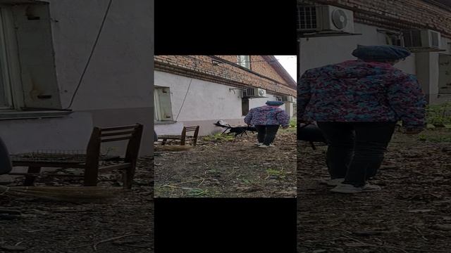 NW. Местность 23.04.2023