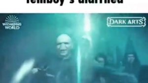 volan de mort fiting femboy
