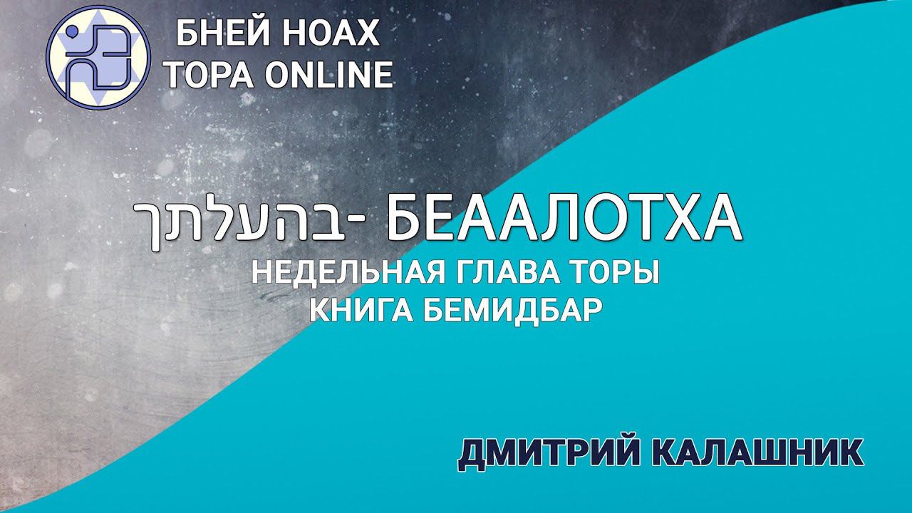 Недельная глава Торы - Парашат а-шавуа - "Бэаалотха" 5784/2024. Дмитрий Калашник