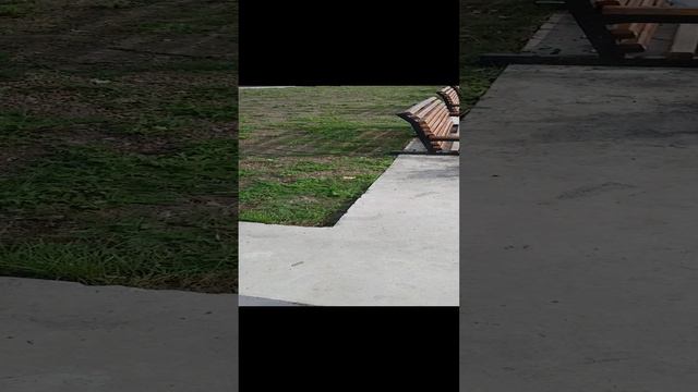 Набережная реки Амур (часть 10)