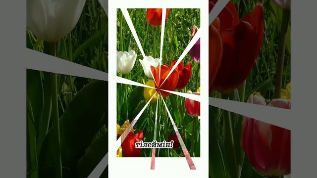 Кайырлы тан. Қайырлы таң. С добрым утром. Good morning #Shorts