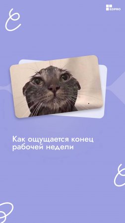 Как вы ощущаете себя в конце рабочей недели и какие способы расслабления используете?