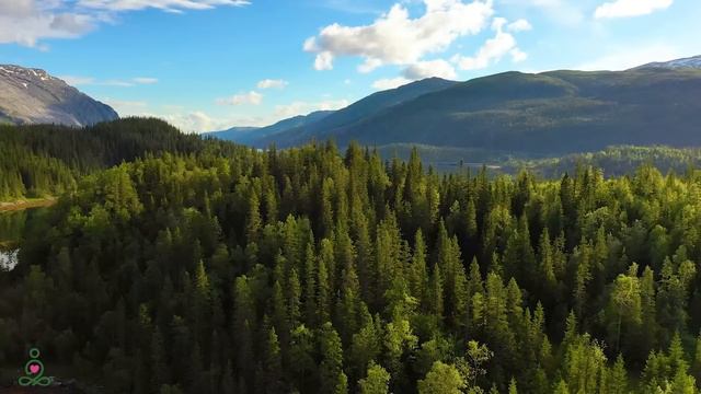 Исцеление внутреннего гнева и устранение печали, ультра-расслабляющая музыка для снятия стресса