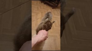 Маленькие радости жизни питомника