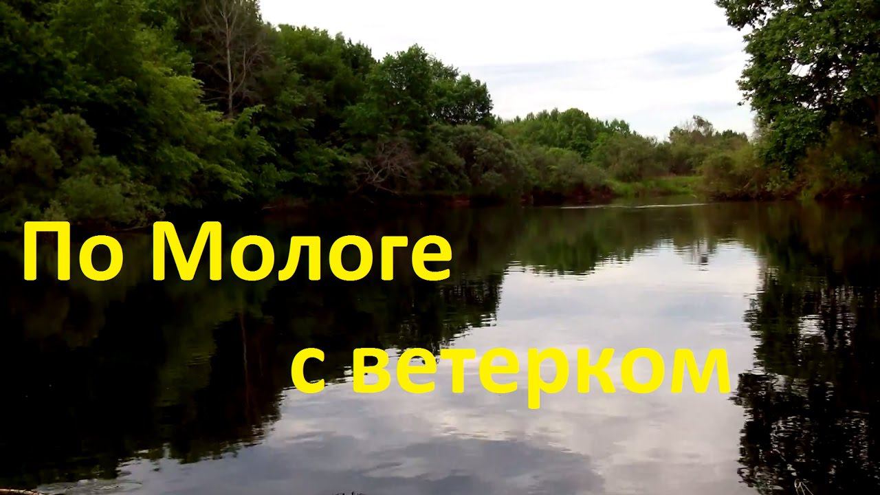 По Мологе с ветерком. Лето 2015г.