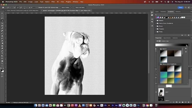 How to Make a Predator-Style Thermal Image Heat Map in Photoshop # ...