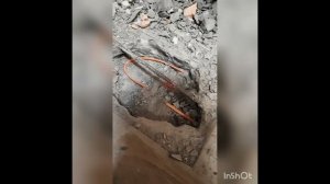Ремонт теплого пола Теплолюкс марки ТЛБЭ.