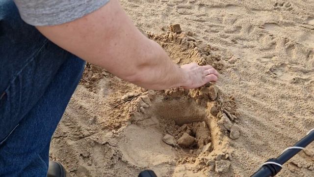 Металлоискатель PANDA-M1 поиск на пляже