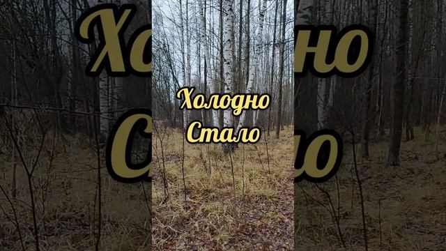 Наступила Осень