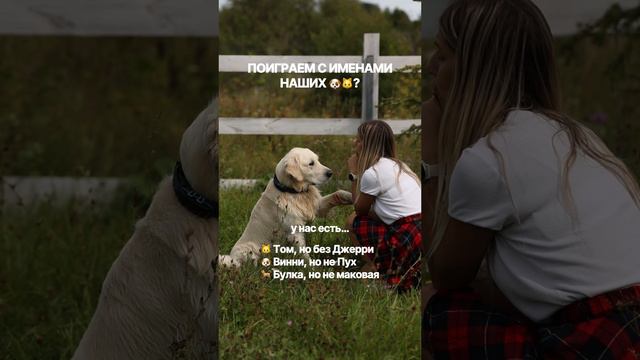 А кто у вас? 🐾