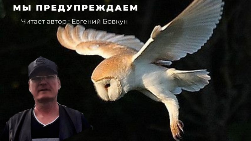 Мы предупреждаем COVID-19. Шуточное  стихотворение.
Читает автор : Евгений Бовкун.