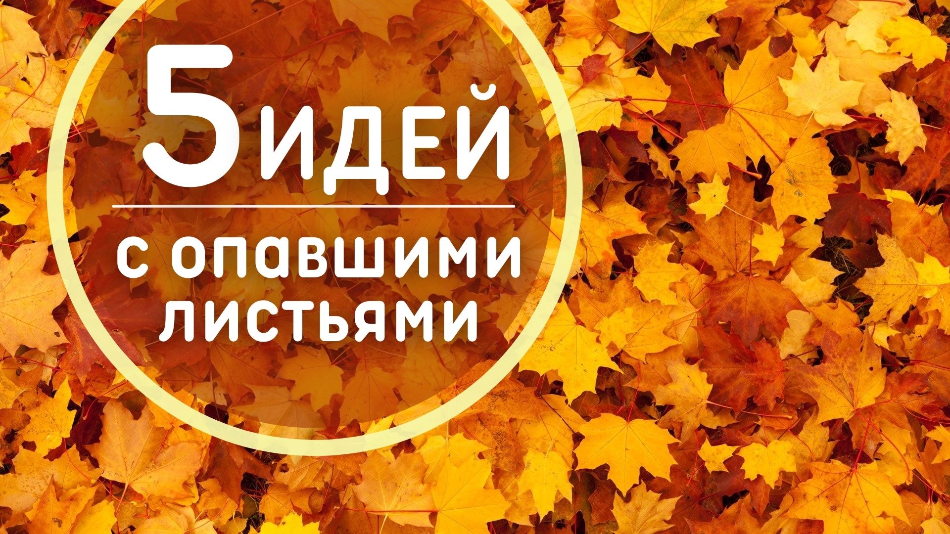 5 идей ? что делать осенью с опавшими листьями