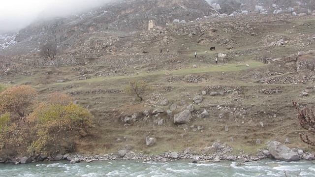 MVI_8145