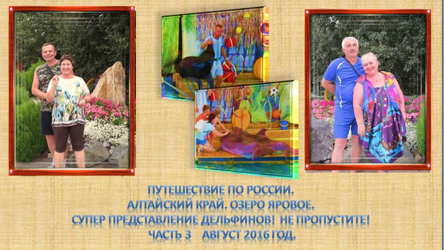 Часть 2. СУПЕР ПРЕДСТАВЛЕНИЕ ДЕЛЬФИНОВ! НЕ ПРОПУСТИТЕ!