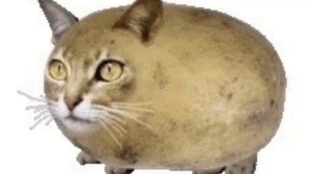 Мышка-Сосиска, Собачка-Жвачка, Кошка-Картошка - куку я немножко